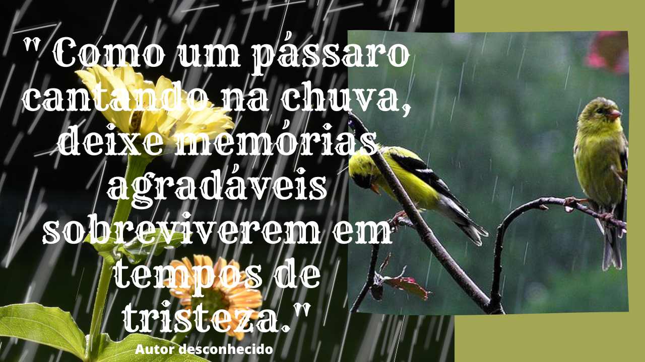 Escrita automática | Site do João Vicente Machado